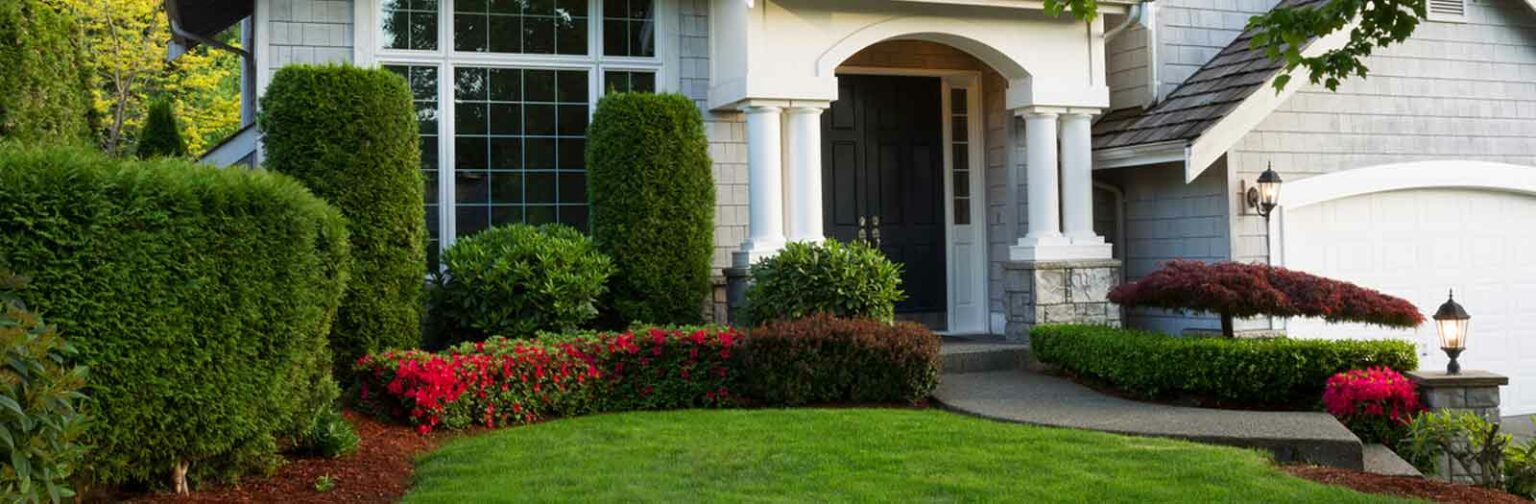 Healthy Shrubs South Carolina|Healhty Shrubs North Carolina