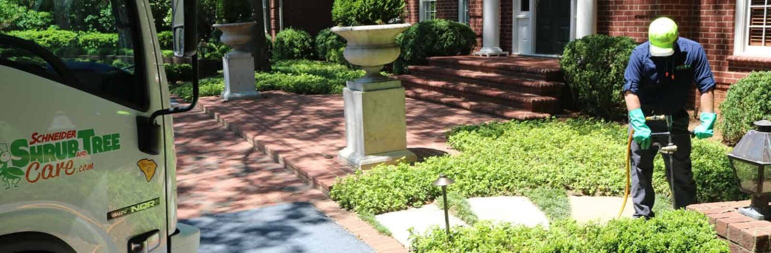 Shrub Care Programs South Carolina|Shrub Care Programs North Caroline